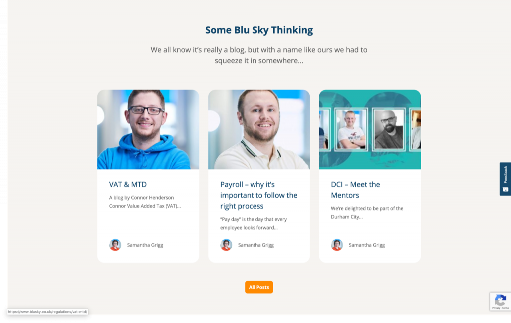 Blusky Website | Geraint Palmer