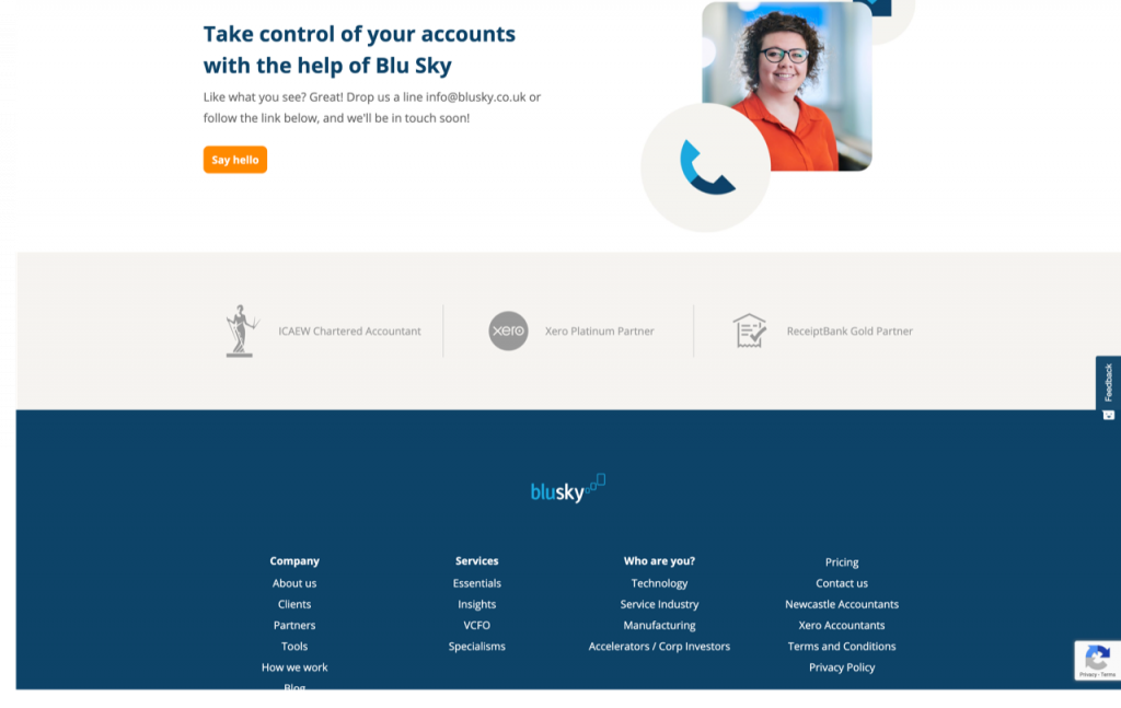 Blusky Website | Geraint Palmer